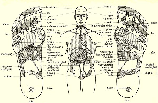 Évingerné Hercog Gabriella honlapja